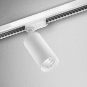 Aquaform/Aqform » THE LIGHT