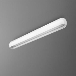 Aquaform/Aqform » THE LIGHT
